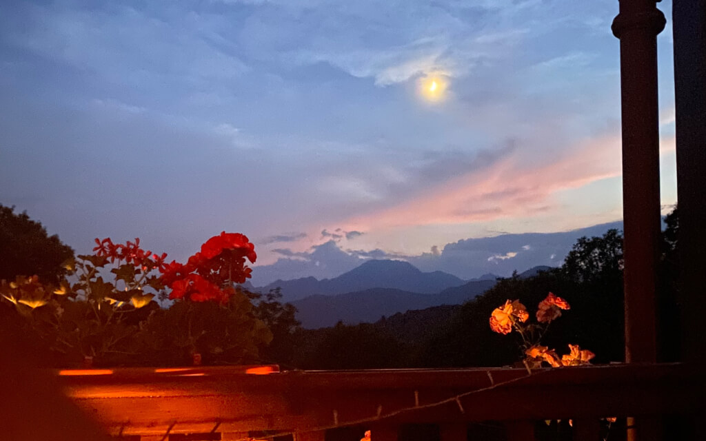 Return to the Roots with Your Soul Family