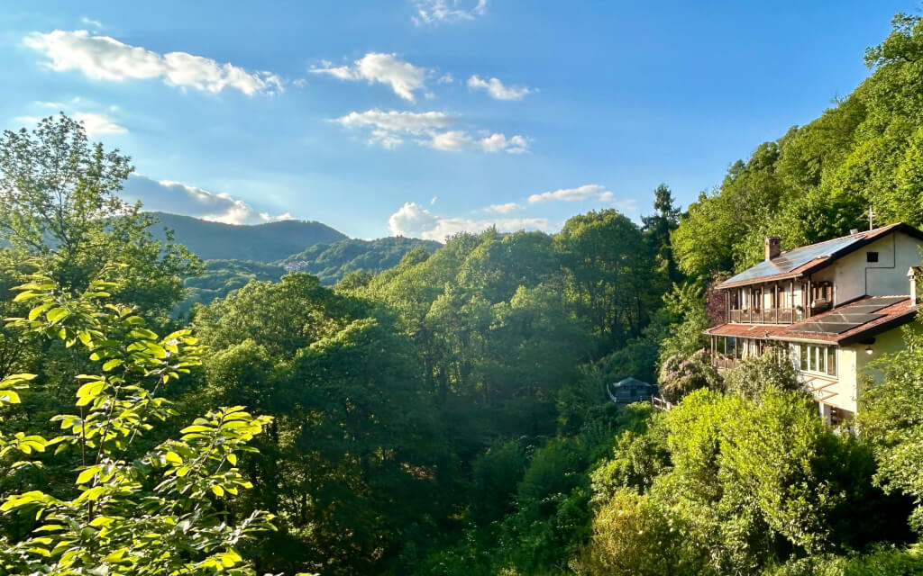 Return to the Roots with Your Soul Family