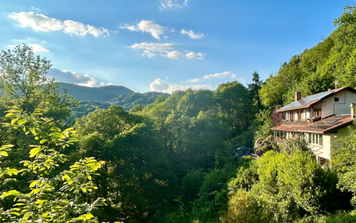 Return to the Roots with Your Soul Family