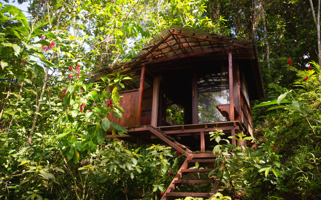 Yawanawa Retreat with Chief Nixiwaka and Family