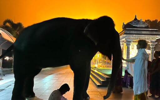 India Mantra Retreat